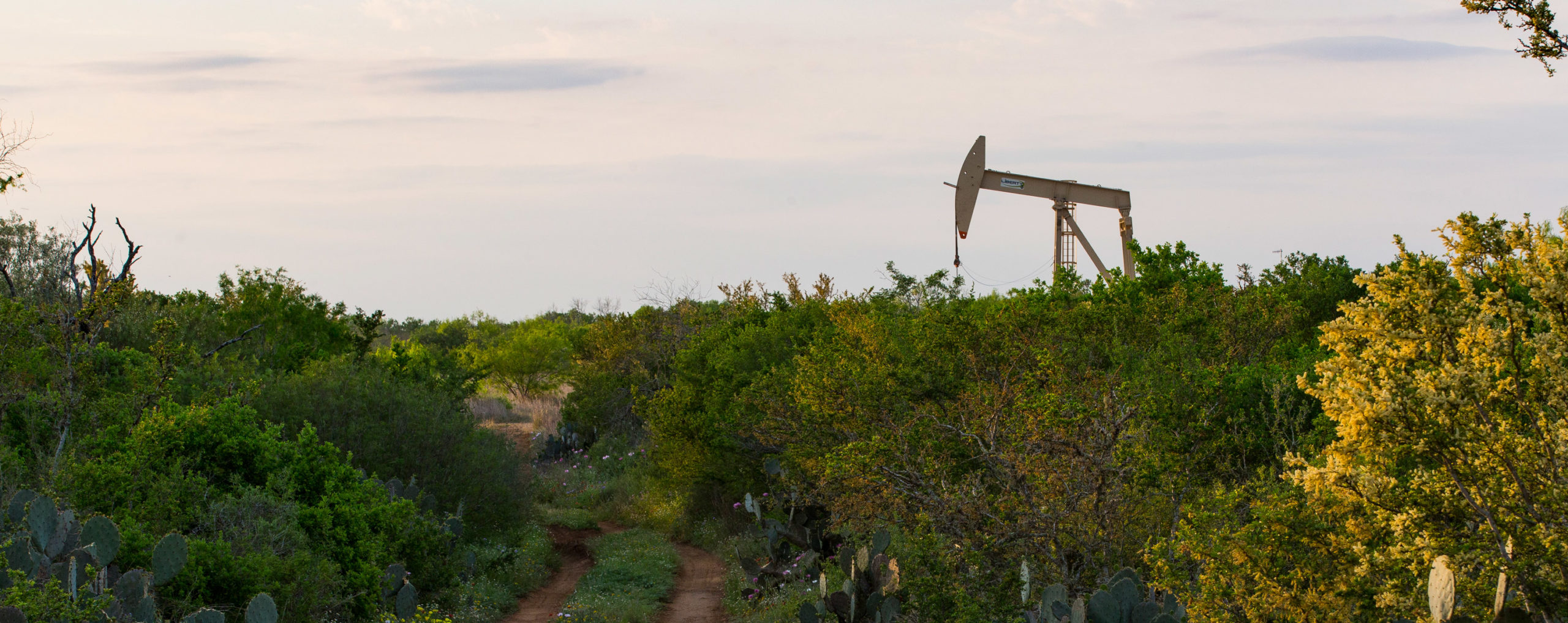 Minerals | Providence Energy